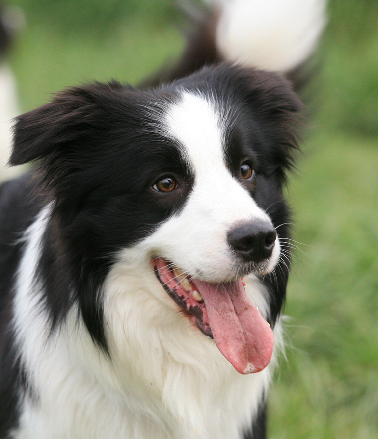 クラウドファンディング - MotionGallery (モーションギャラリー)